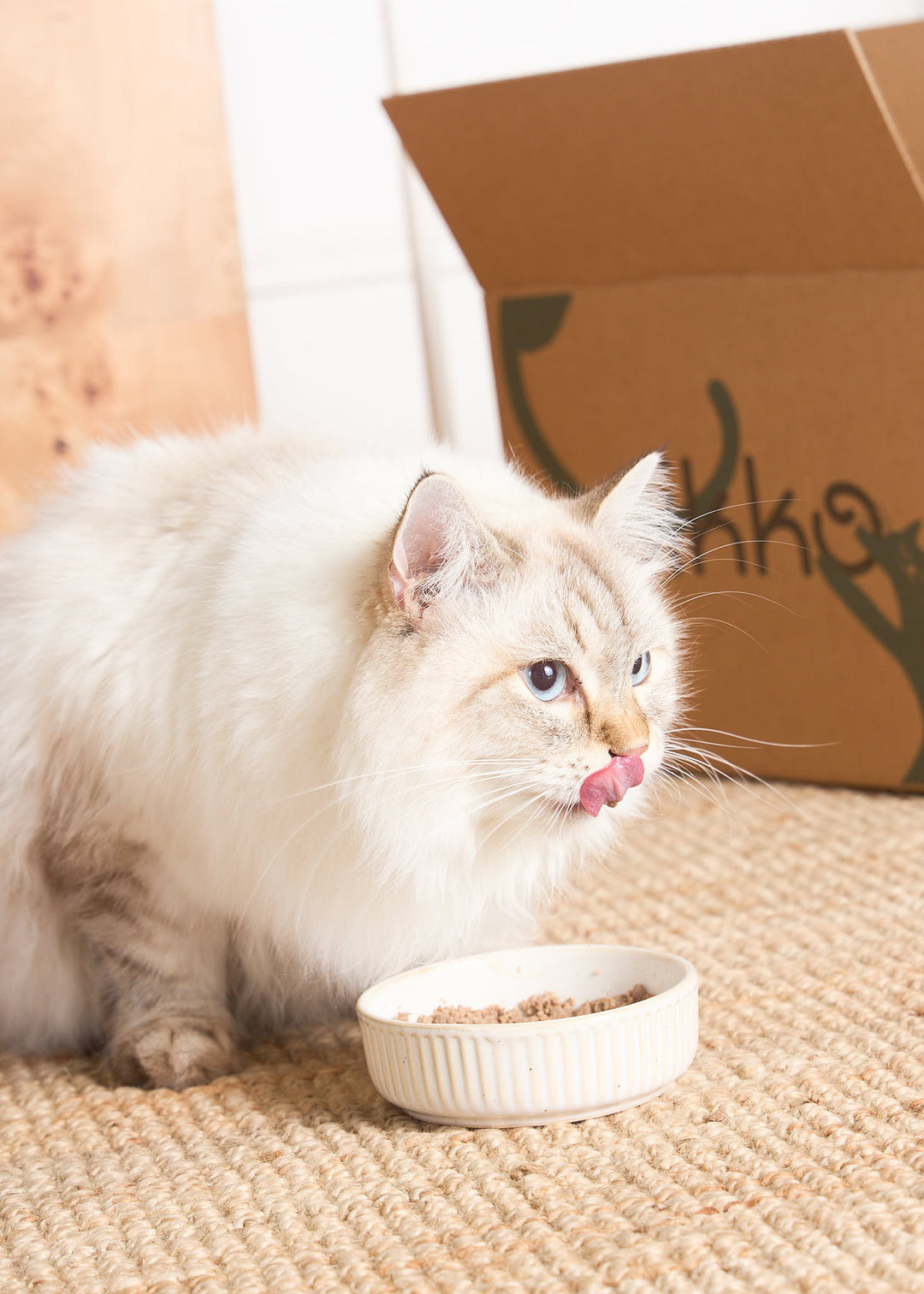Fresh Human-Grade Cat Food Delivery in Australia | Pikko